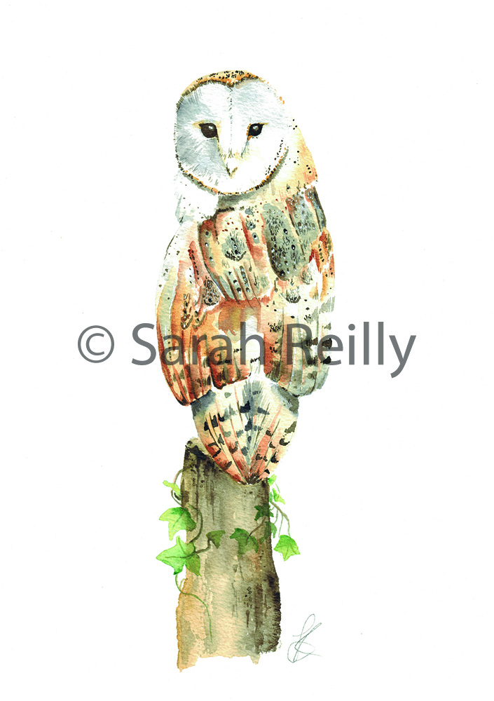 Mr Barn Owl Bookmark - Love Country by Sarah Reilly