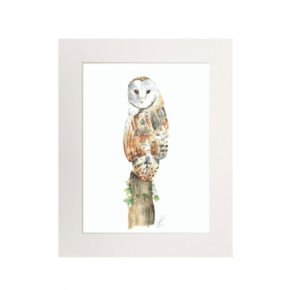 Barn Owl Print (Portrait) - Love Country by Sarah Reilly
