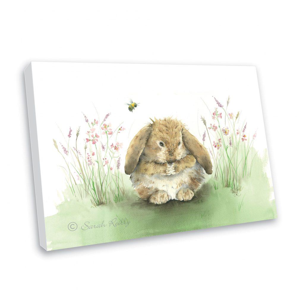 Honey Bunny Canvas Print - Love Country by Sarah Reilly