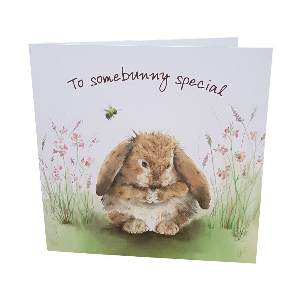 To Somebunny Special Occasion Card (Honey Bunny) - Love Country by ...