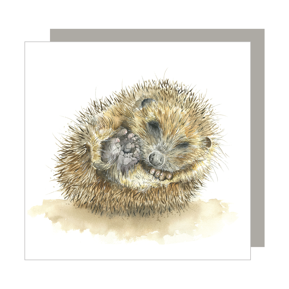 Forty Winks Greeting Card - Love Country by Sarah Reilly