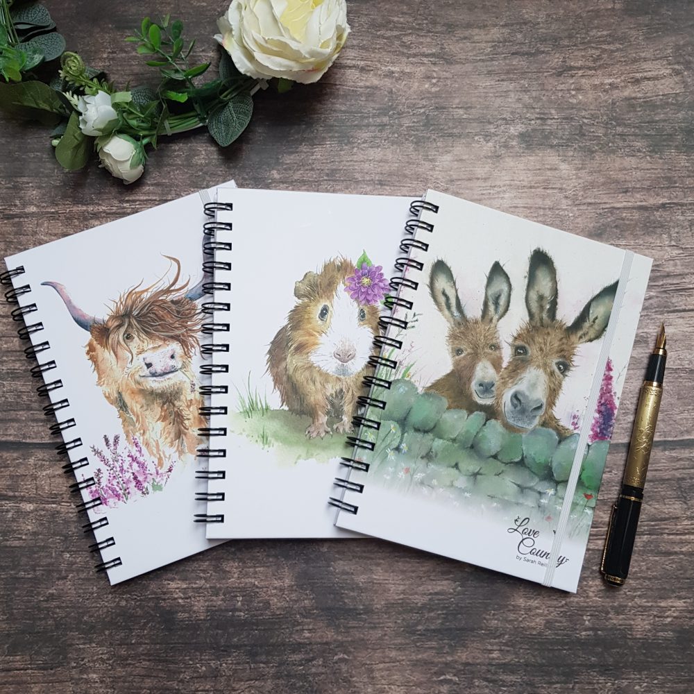 Love Country by Sarah Reilly