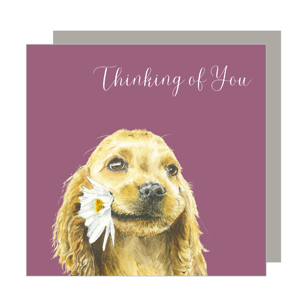 Thinking of You Pawsitive Vibes Card - Love Country by Sarah Reilly